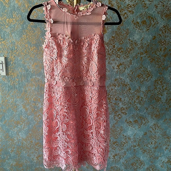 Dresses | Gorgeous Pink Floral Mesh Dress | Poshmark